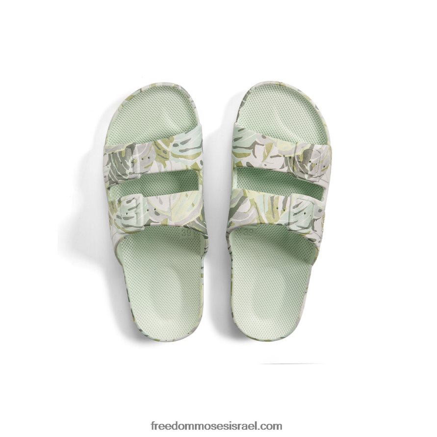 Freedom Moses Israel אורח חיים צונן